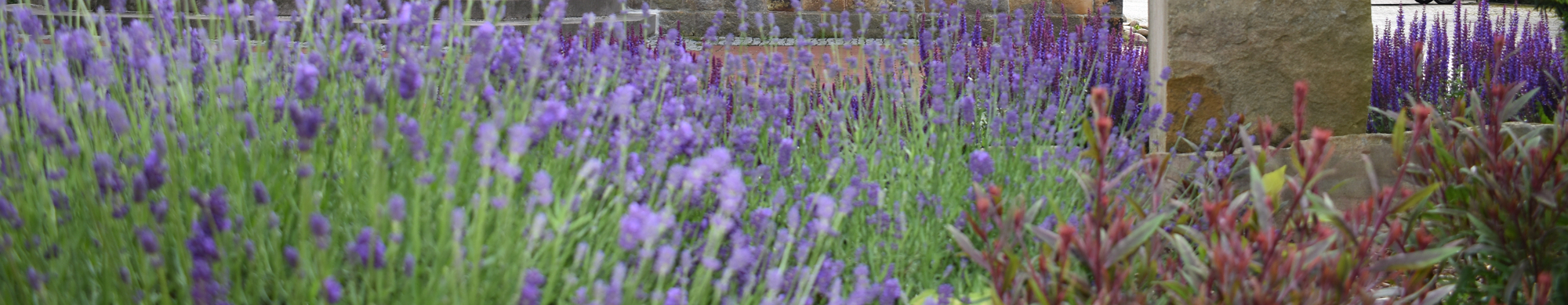 Pfarreiengemeinschaft Freren