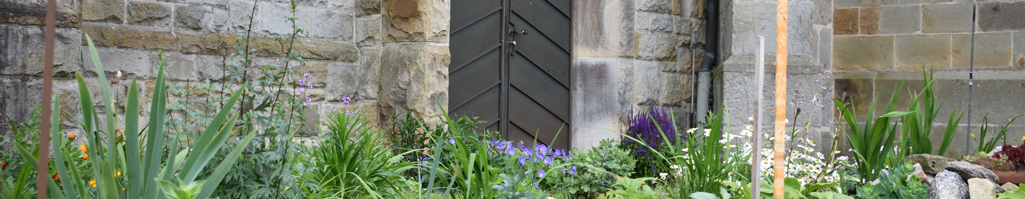 Pfarreiengemeinschaft Freren